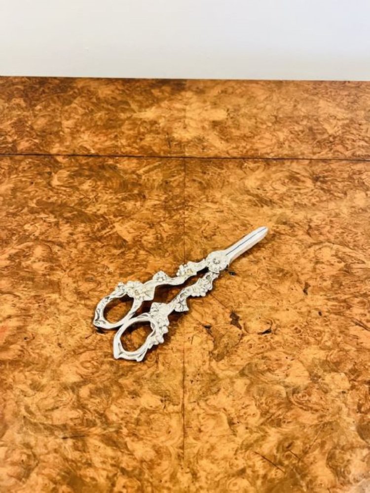 Edwardian Silver Plated Grape Scissors, 1900s for sale at Pamono
