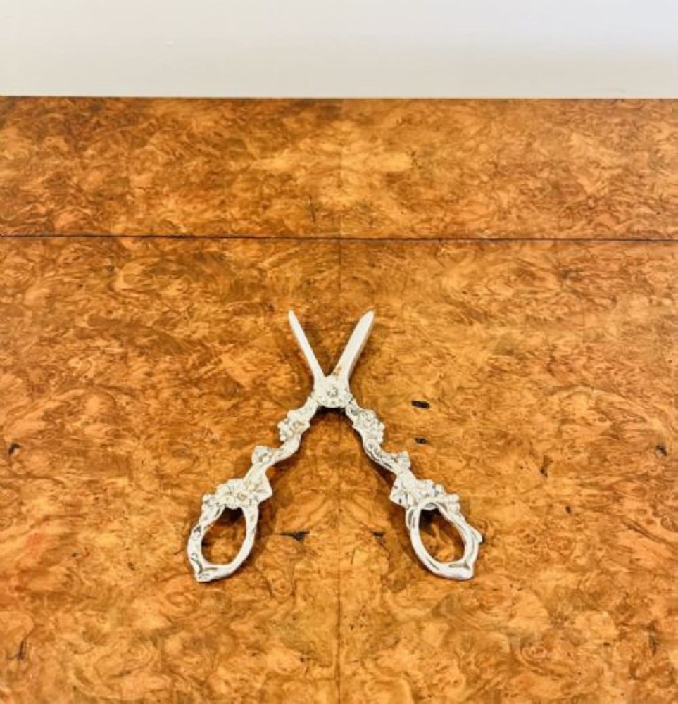 Edwardian Silver Plated Grape Scissors, 1900s for sale at Pamono