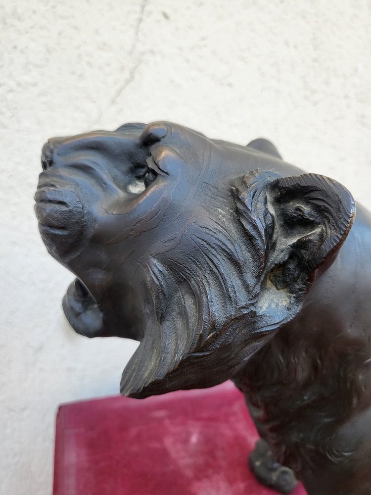 Japanese Meiji Artist, Tiger Sculpture, 19th Century, Bronze for sale ...