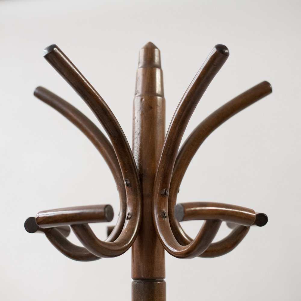 Fir Floor Coat Rack, 1940s for sale at Pamono