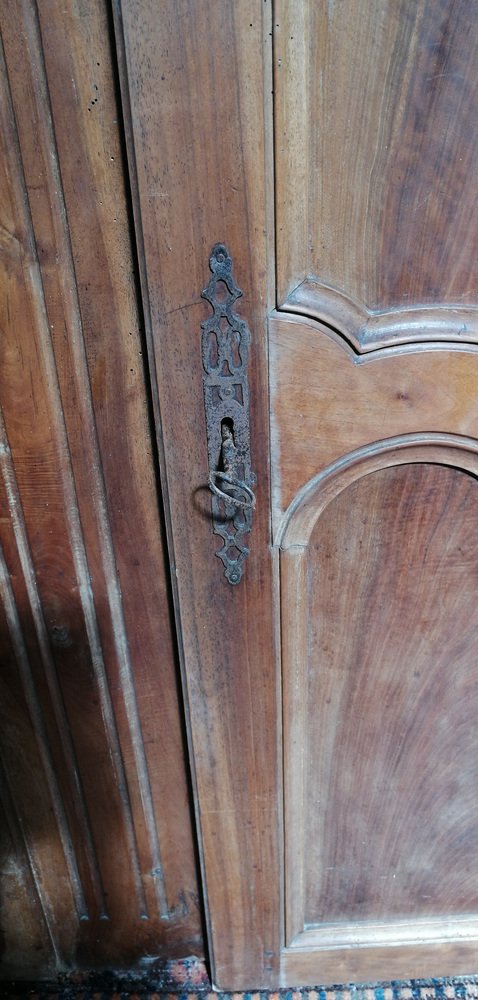 Louis XV Doors in Walnut for sale at Pamono