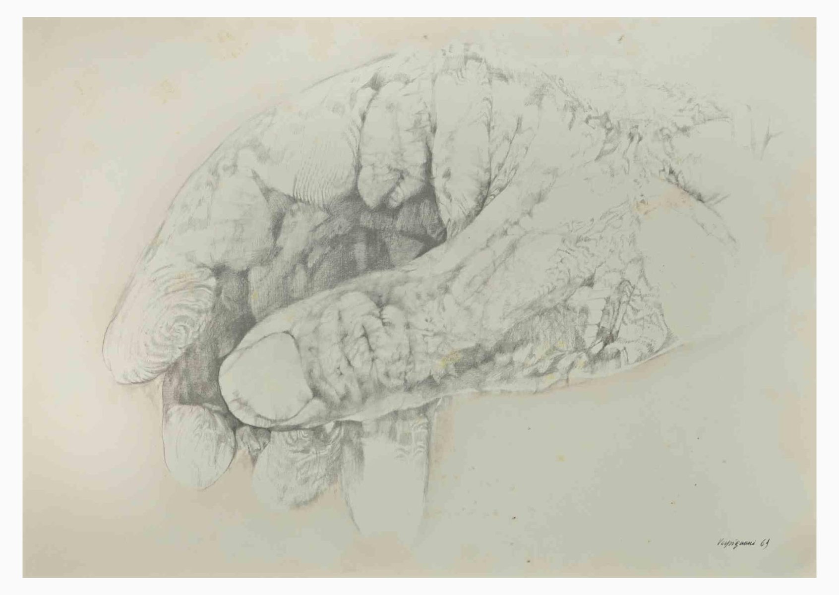 Renzo Vespignani, The Hand, Phototype Print, 1960s for sale at Pamono