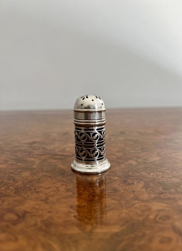 Antique Edwardian Table Shakers, 1900, Set of 2 for sale at Pamono