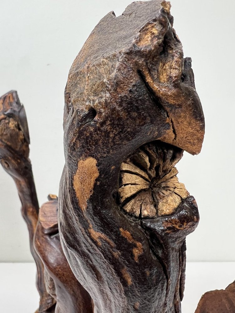 Organic Root Magazine Holder in Vine Cep Wood, France, 1960s for sale ...