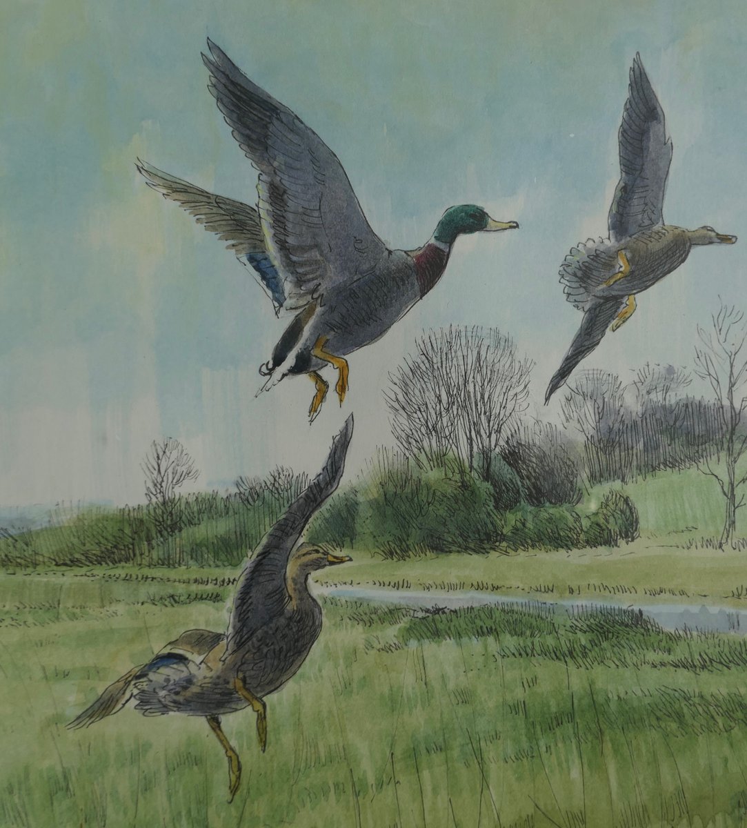 Desmond Walduck, Ducks, 1980s, Ink and Watercolor, Framed for sale at ...