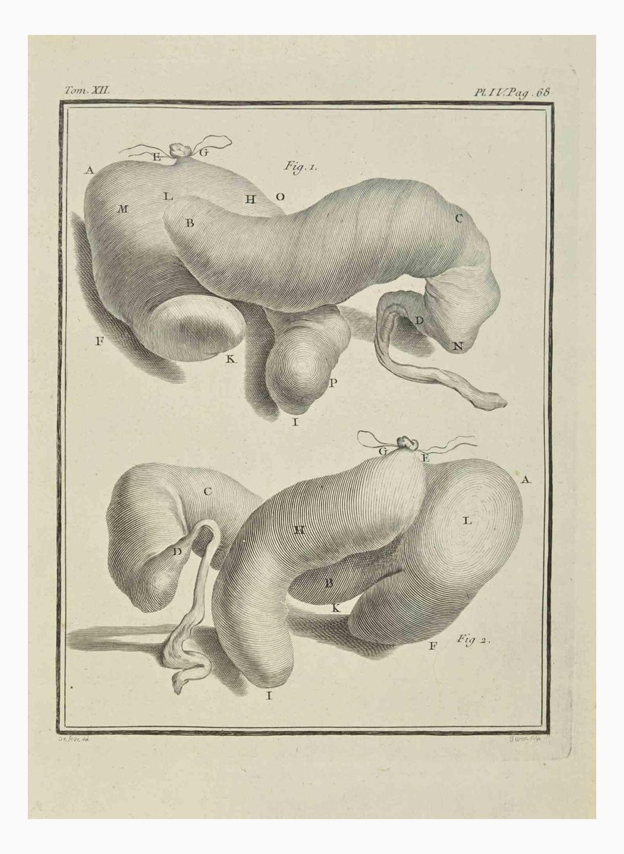 Jacques Baron, The Organs, Etching, 1771 for sale at Pamono