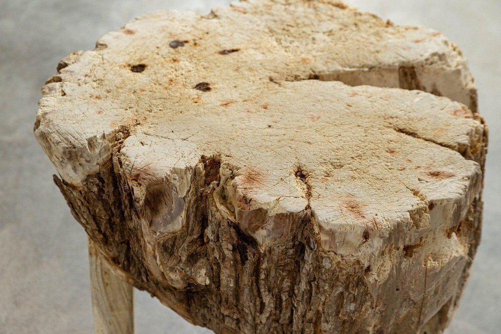 Antique French Provincial Elm Chopping Block Table, 1890 for sale at Pamono