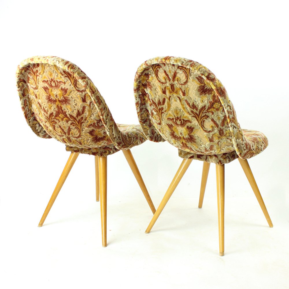 Mid-Century Shell Chairs by Miroslav Navratil, Former Czechoslovakia ...