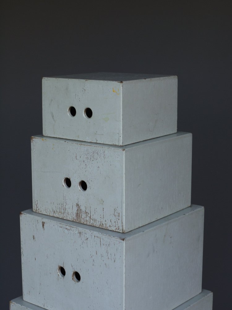 Modernist Plywood Stacking Blocks, 1950s, Set of 5 for sale at Pamono