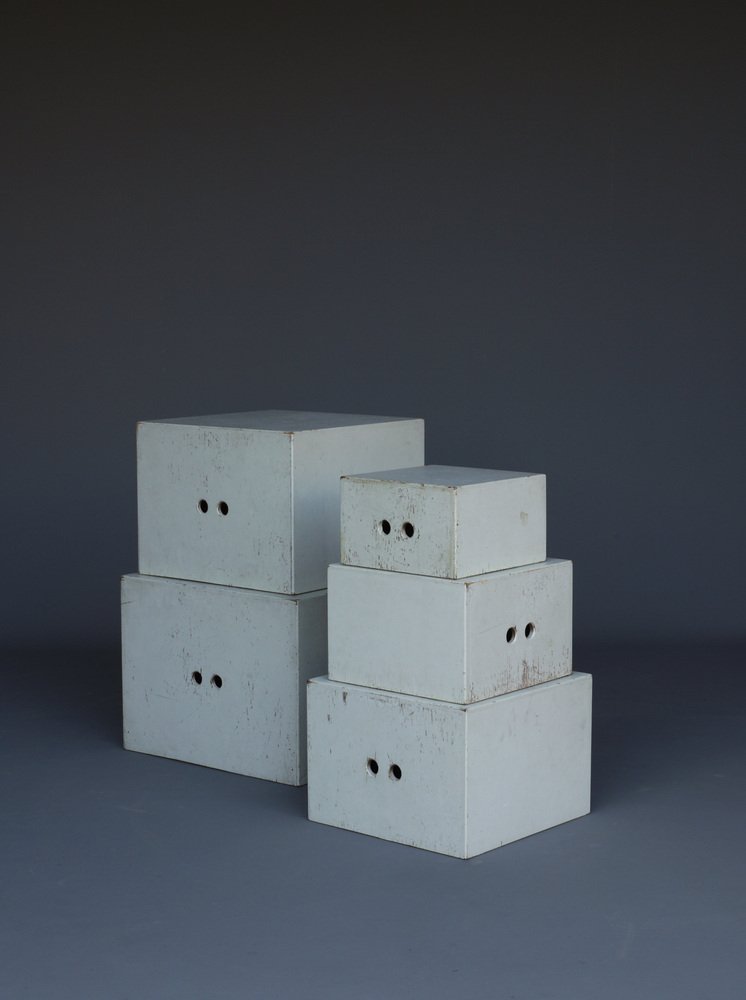Modernist Plywood Stacking Blocks, 1950s, Set of 5 for sale at Pamono