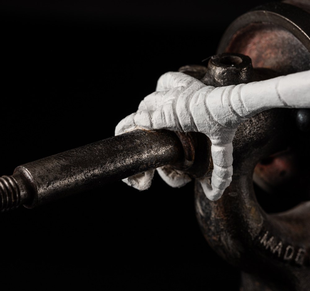 Vintage Velum Paper Feather Raven Sculpture In Bespoke Display Case for ...