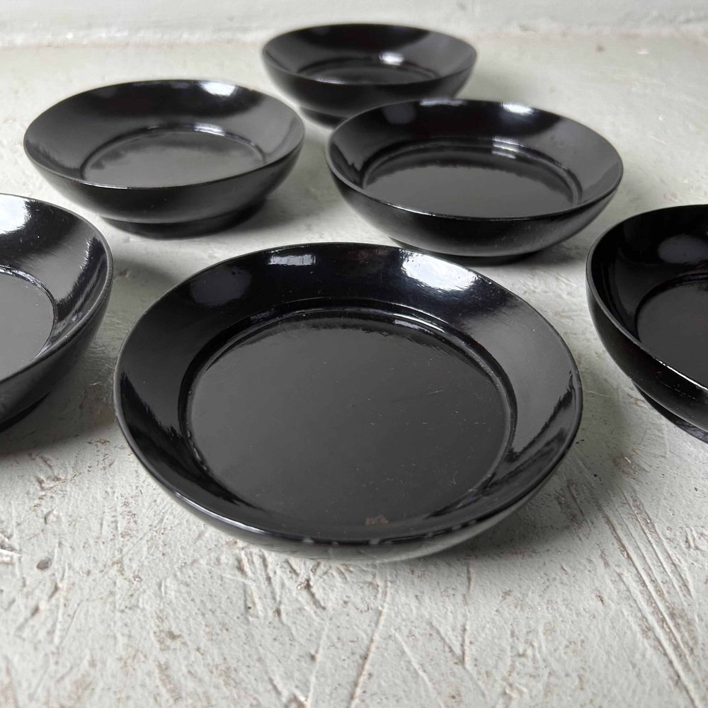 Meiji Era Japanese Utsuwa Lacquer Serving Plates, 1890s, Set of 6 for ...