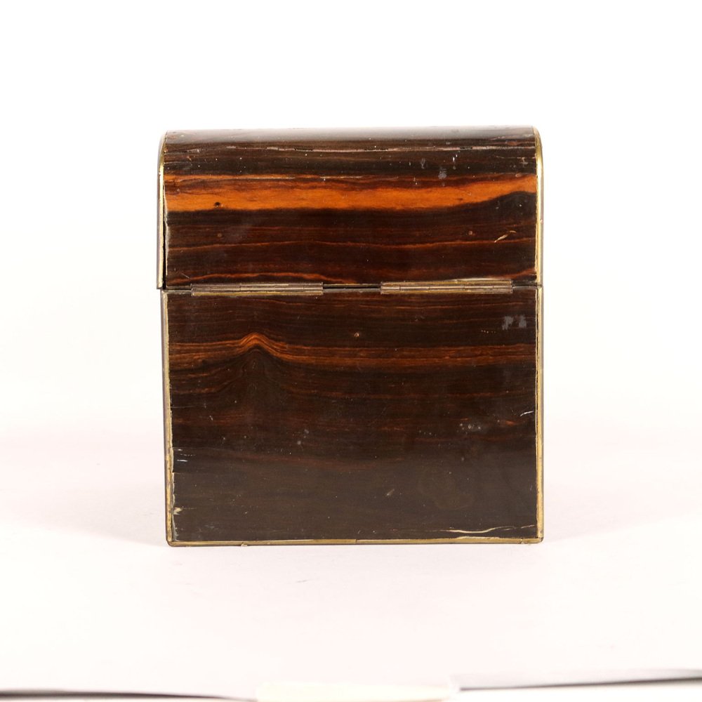 Vintage Liquor Box with Glass Decanters, Early 19th Century, Set of 5 ...