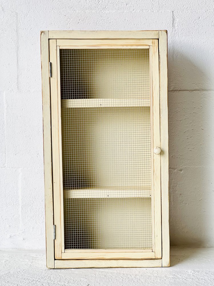 Vintage Wall Unit with Meshwire for sale at Pamono