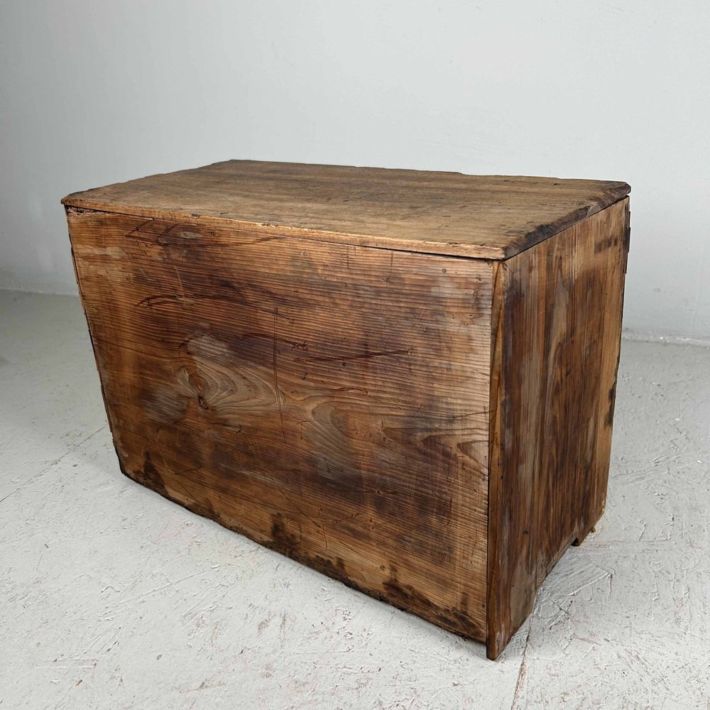 Low Taishō Japan Tansu Chest, Japan., 1920s for sale at Pamono