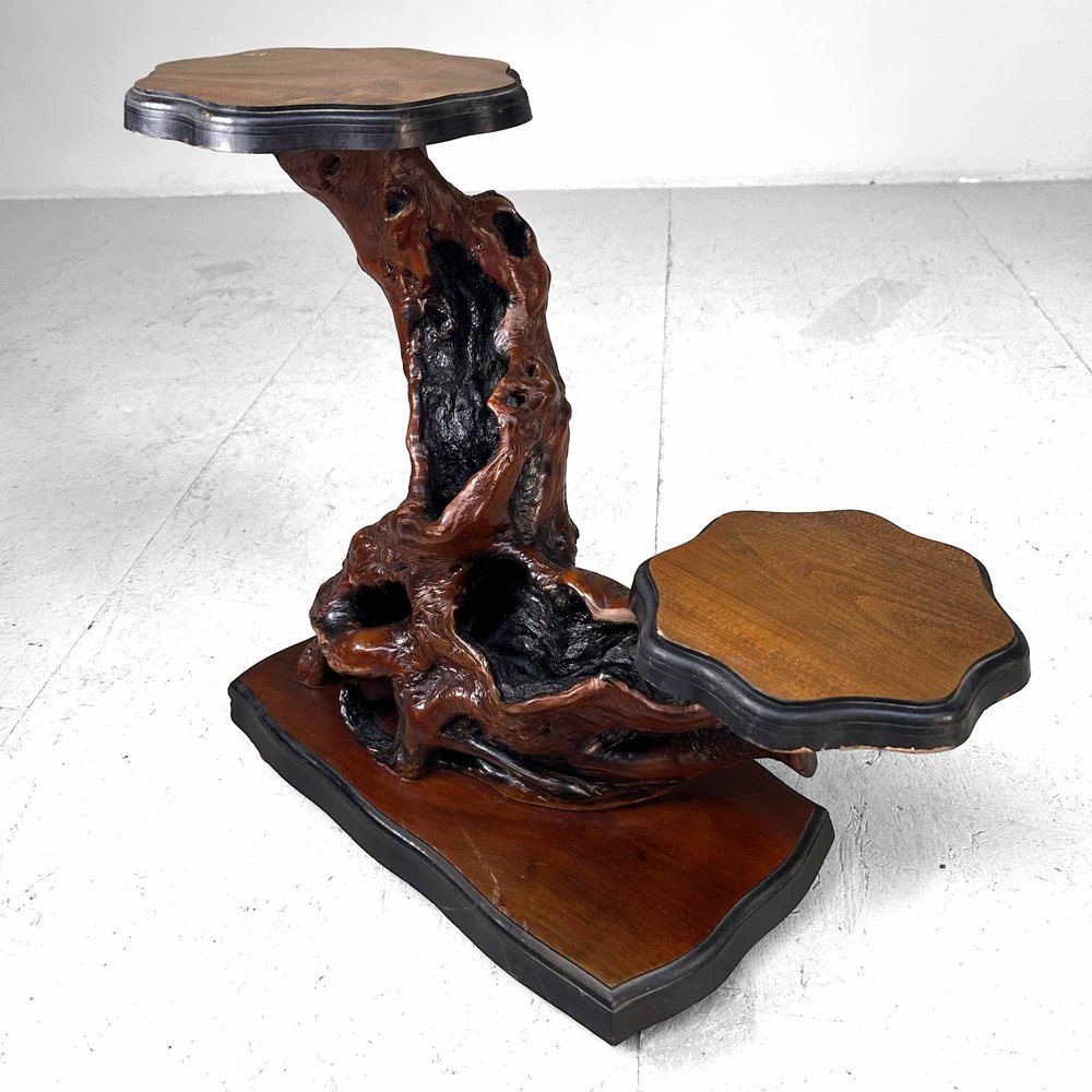 Japanese Burl Wood Plant Stand, 1920s for sale at Pamono