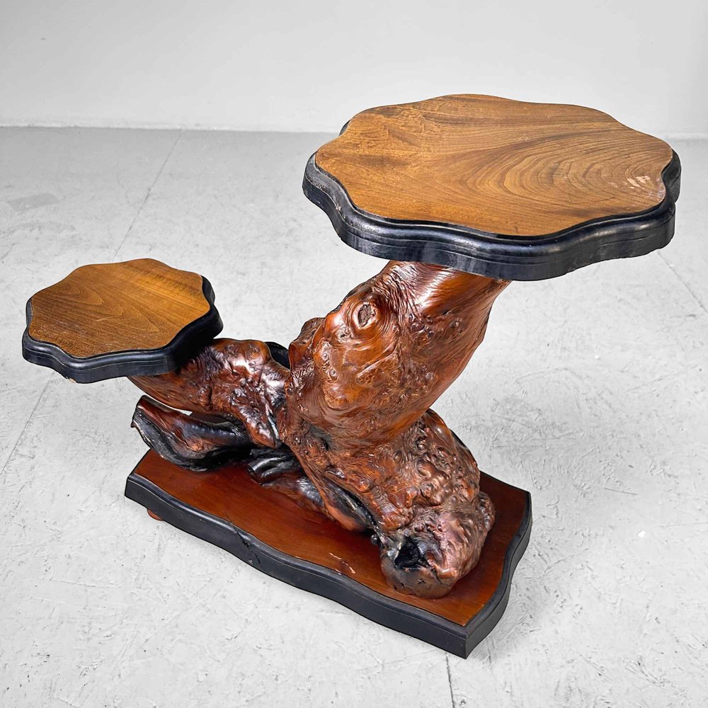 Japanese Burl Wood Plant Stand, 1920s for sale at Pamono