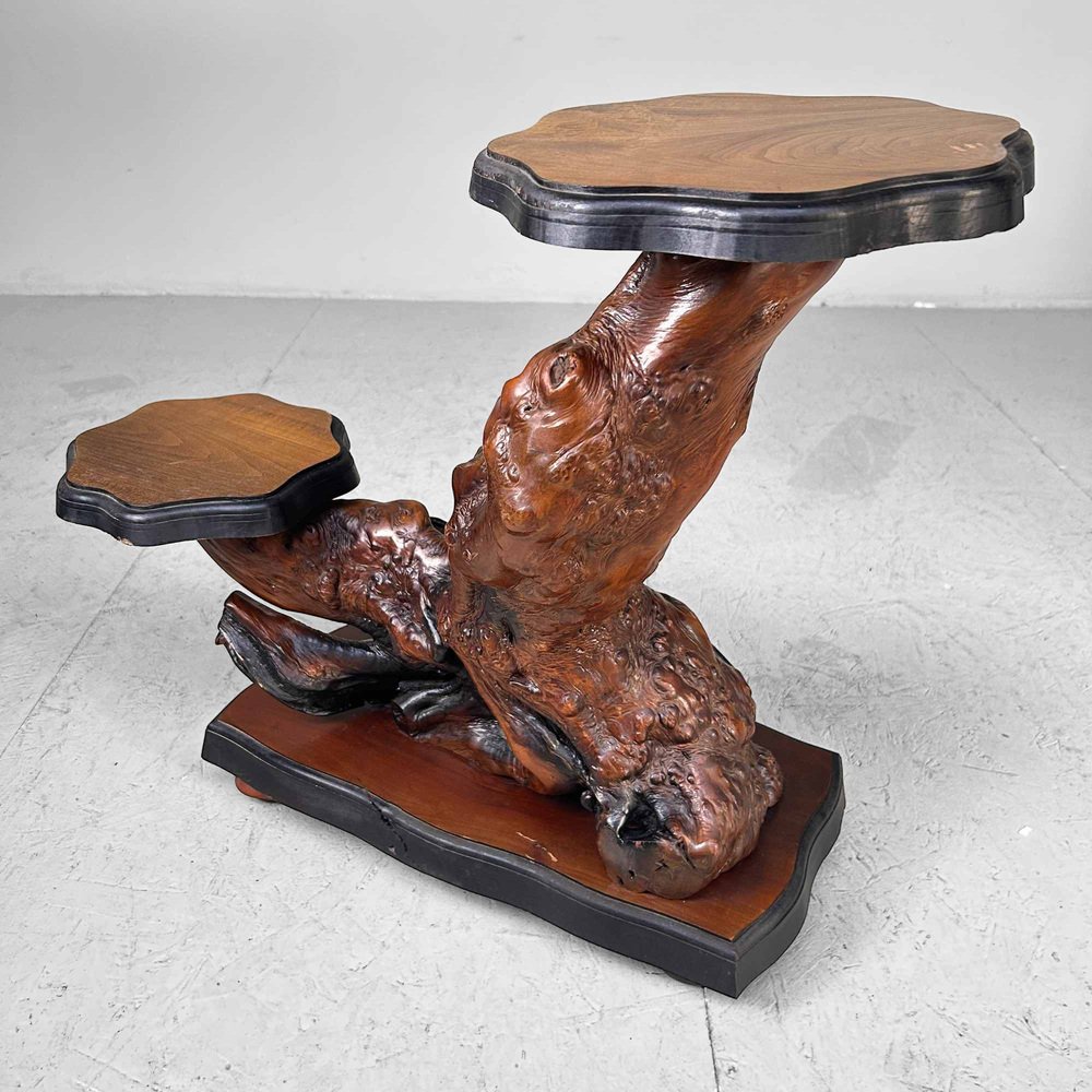 Japanese Burl Wood Plant Stand, 1920s for sale at Pamono