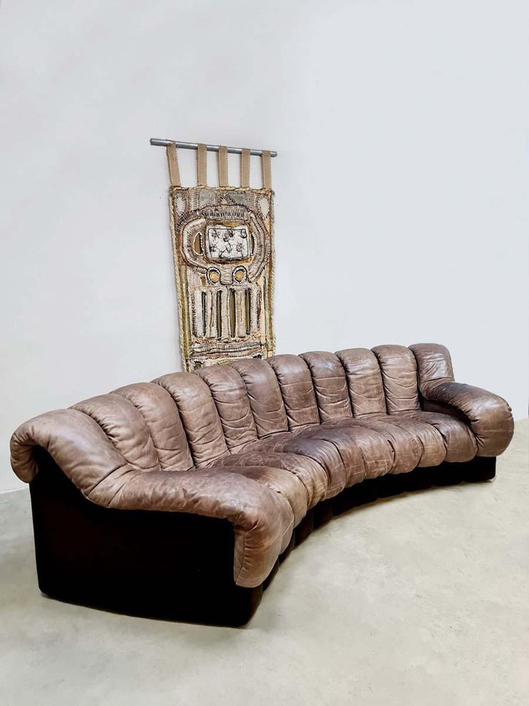 Vintage Modular Leather Snake Sofa Ds 600 by Elenora Peduzzi for de ...