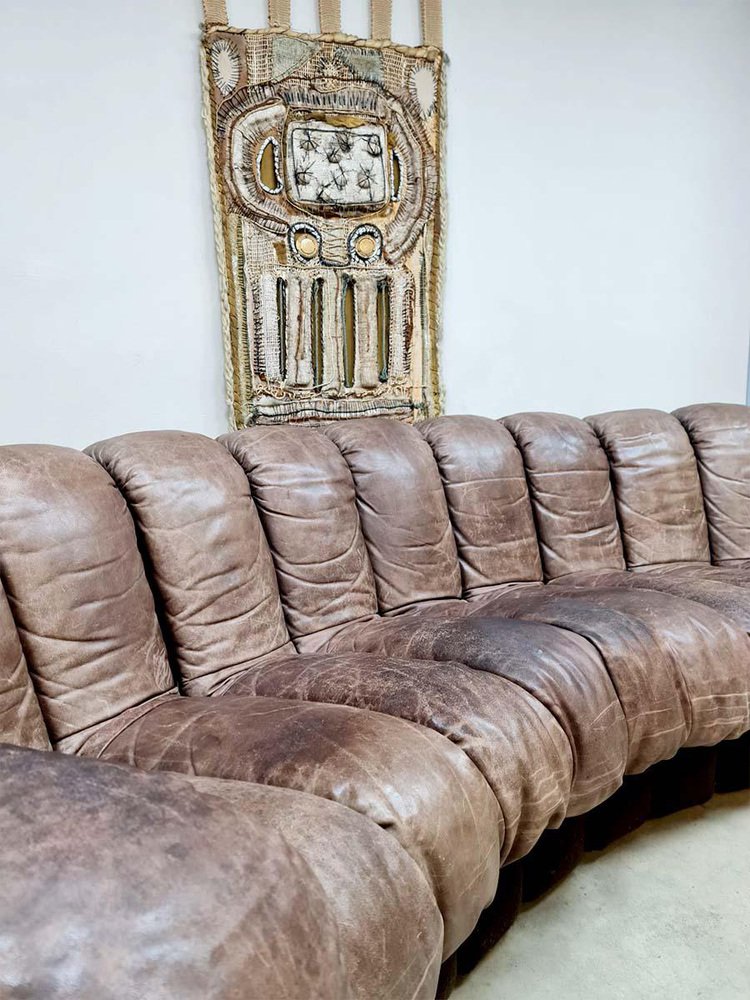Vintage Modular Leather Snake Sofa Ds 600 by Elenora Peduzzi for de ...