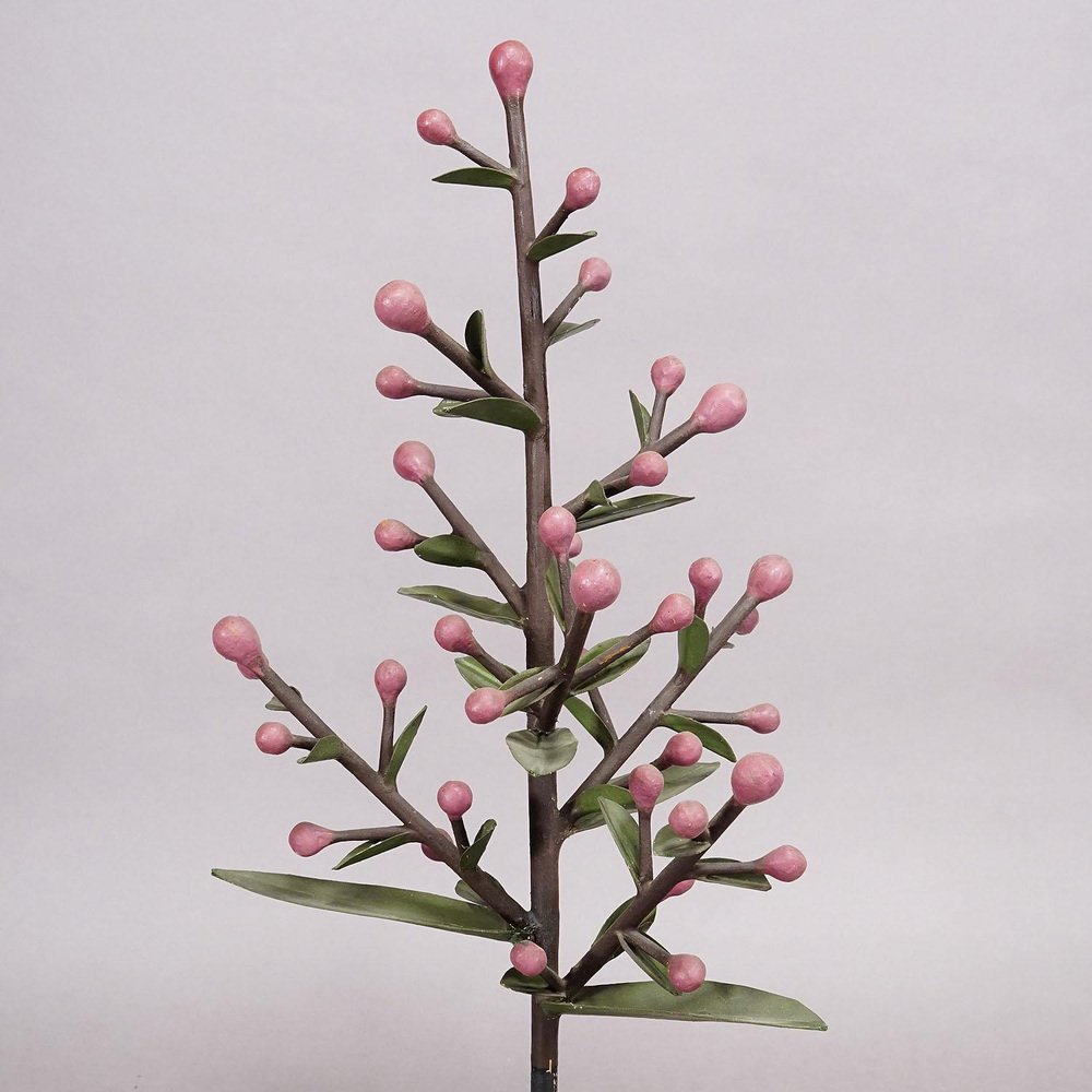 19th Century Botanic Model attributed to Robert Brendel, 1890s for sale ...