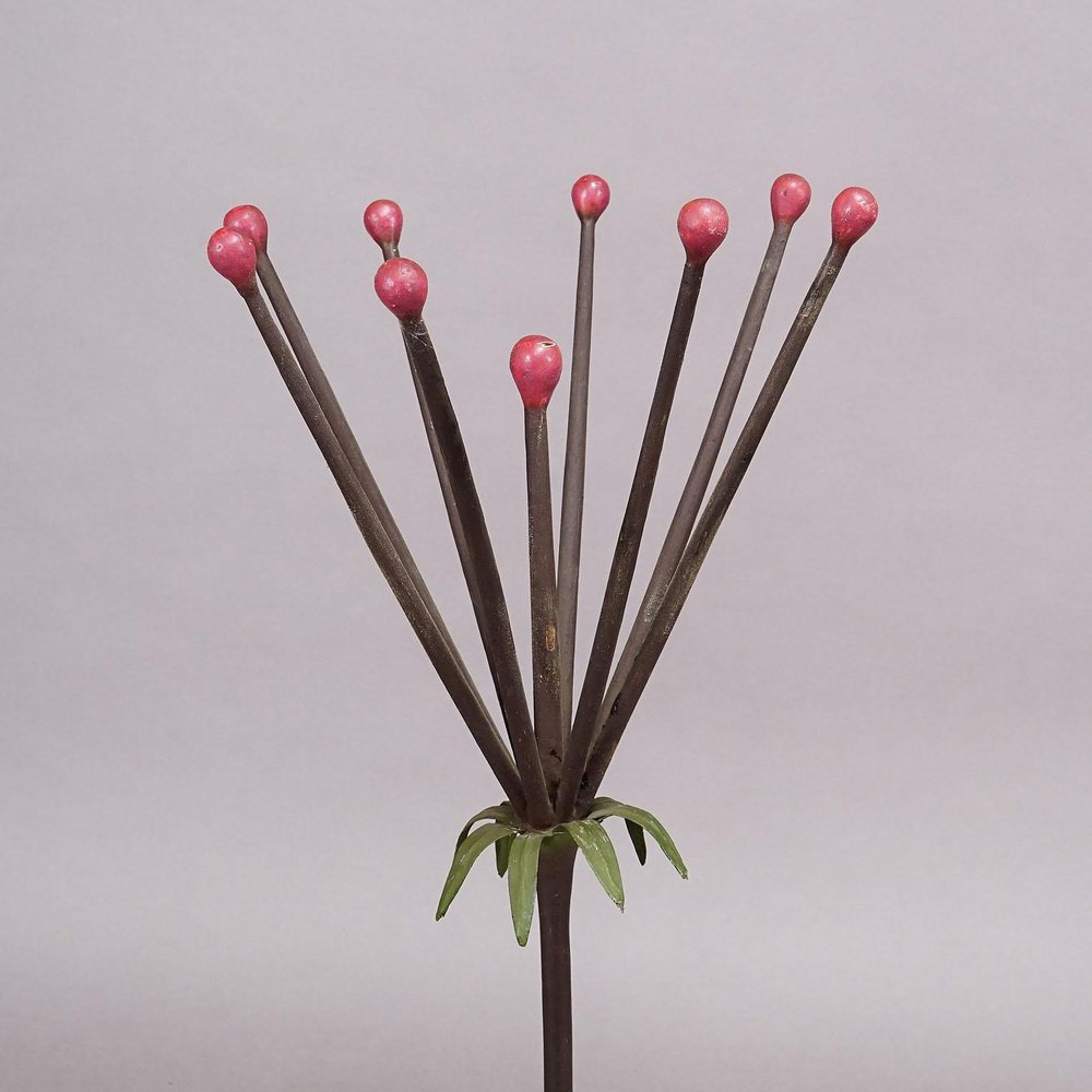 19th Century Botanic Model attributed to Robert Brendel, 1890s for sale ...