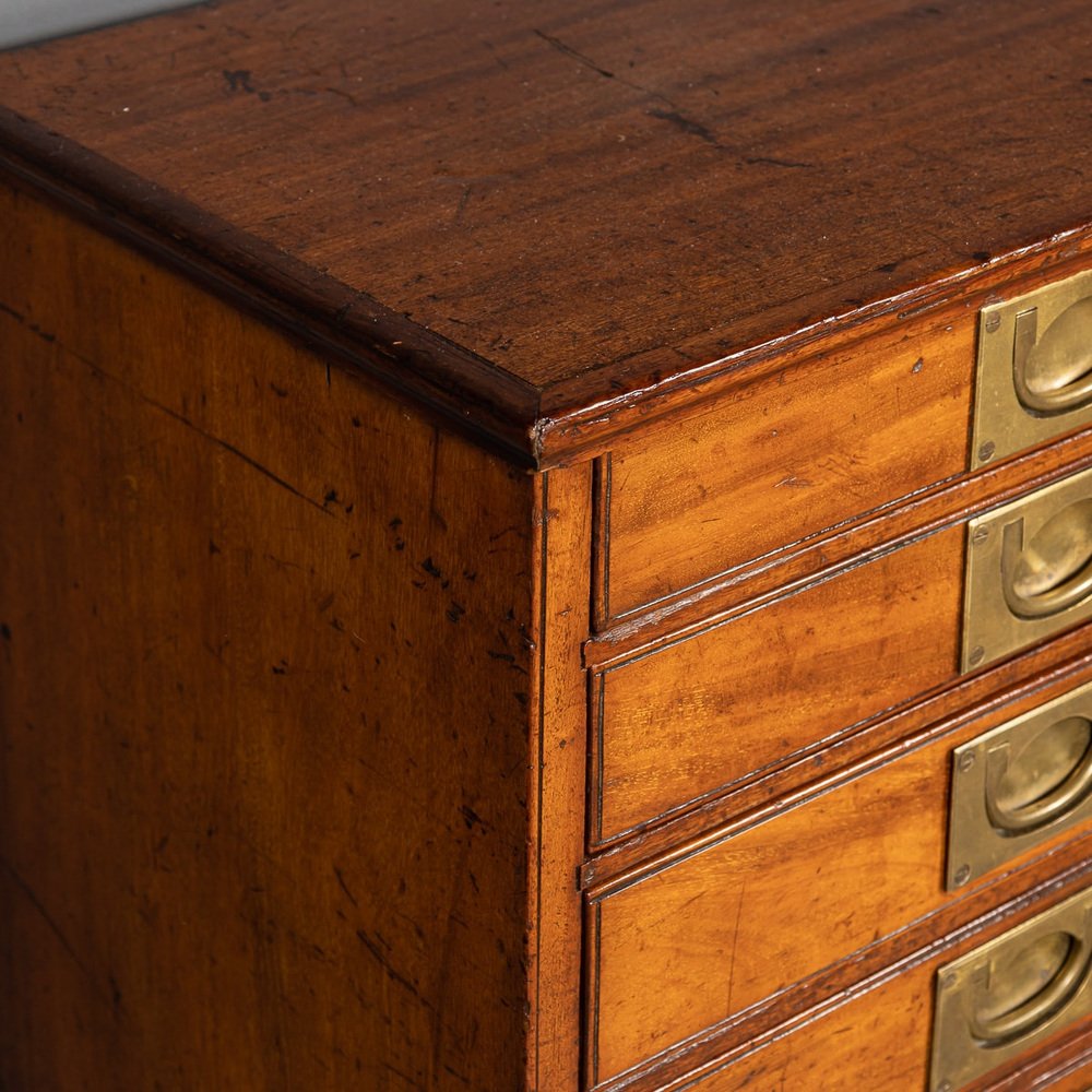 19th Century Victorian in Mahogany 24 Bank Drawers, 1890s for sale at ...