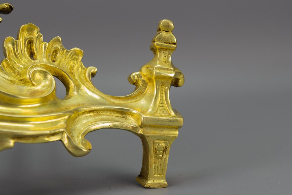French Rococo Style Gilt Bronze and Iron Firedogs, 1890s, Set of 2 for ...