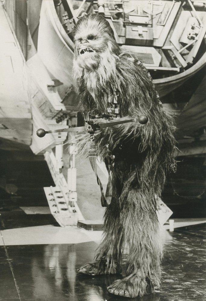 Star Wars Chewbacca Film Still, 1977 for sale at Pamono