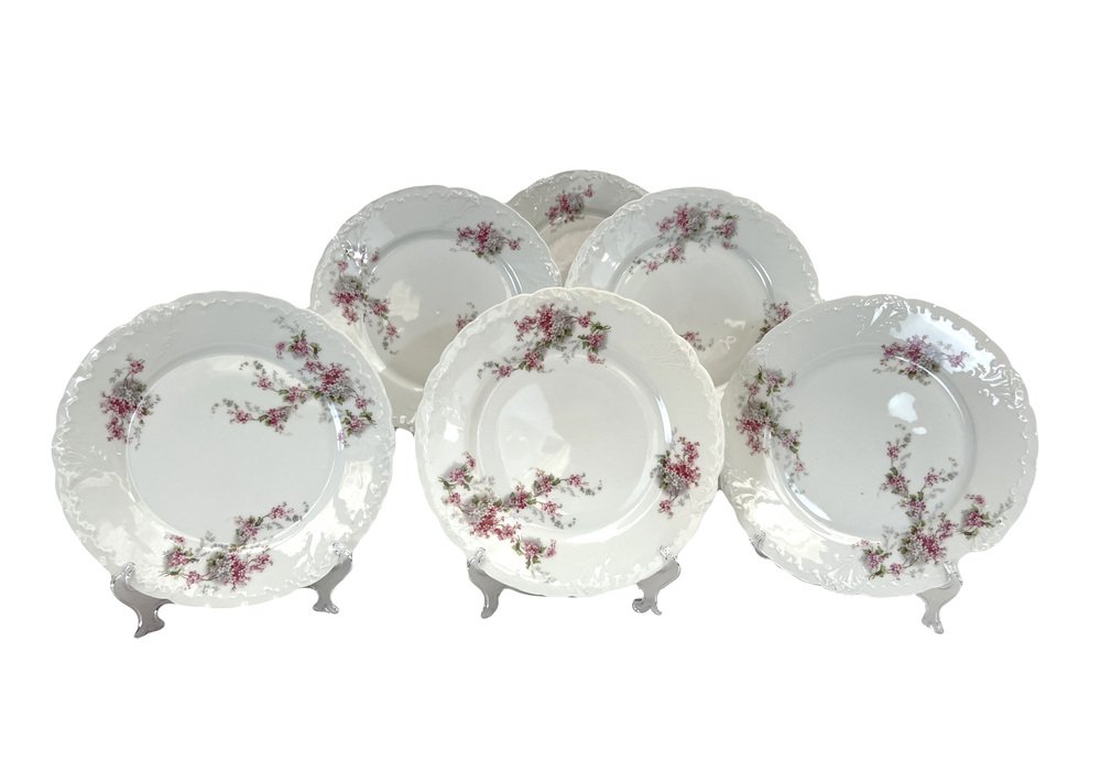 Platform Plates in German Porcelain, 1890s, Set of 6 for sale at Pamono