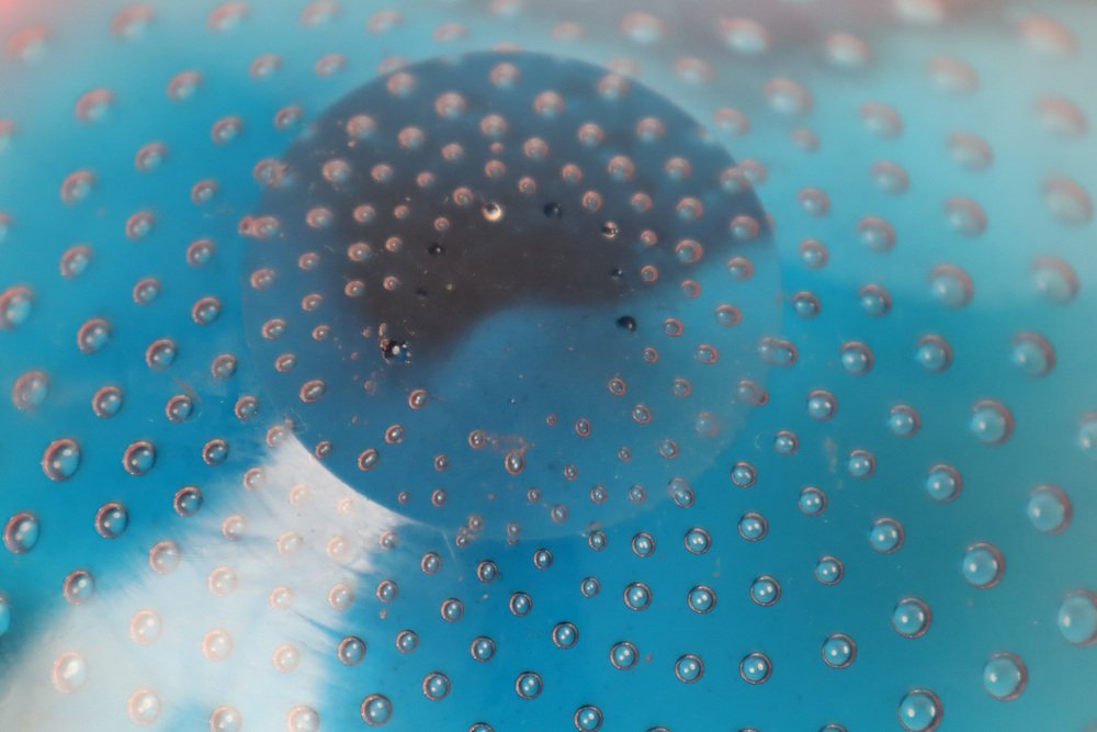 Large Pink and Turquoise Muranoglass Shell attributed to Venini by ...