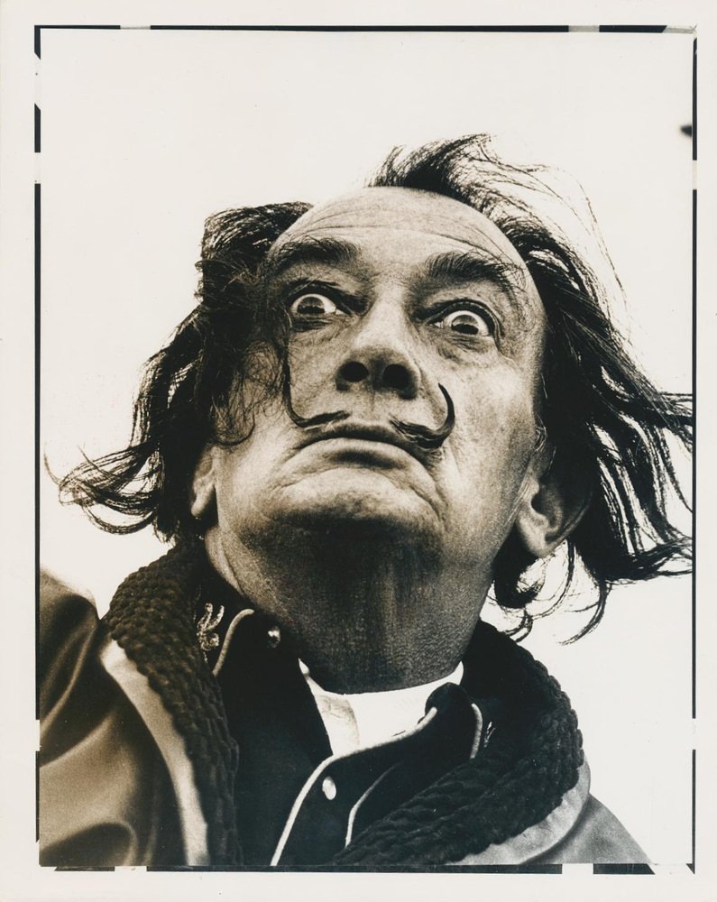 Philippe Halsman, Dali a Port Ligat, 1964, Fotografia in vendita su Pamono
