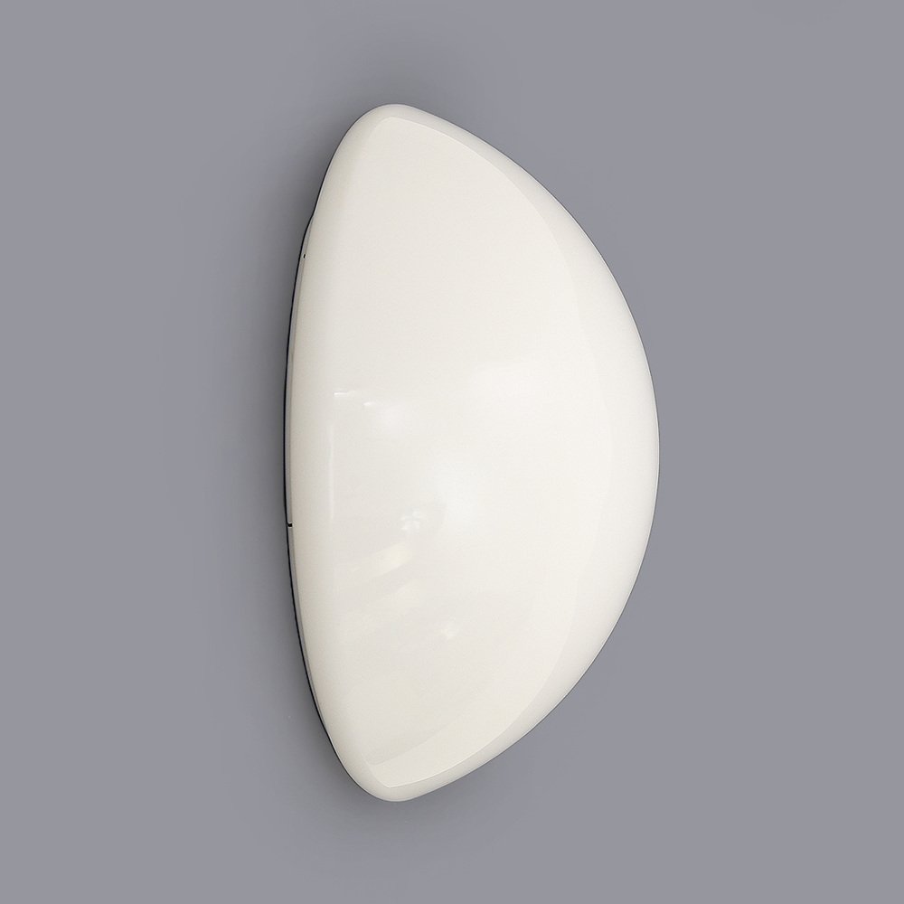 Semisfera Ceiling Light by Elio Martinelli for Martinelli, 1960s for sale at Pamono