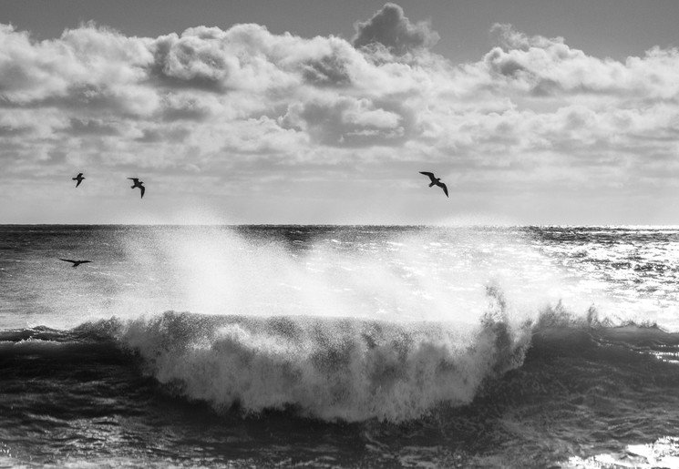Richard Dunkley, Aldwick Wave, 2020, Photographic Print for sale at Pamono
