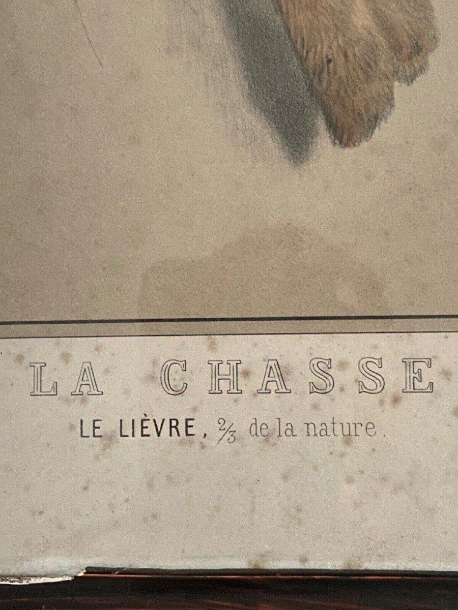 Edouard Traviés, Hunting the Hare, 19th Century, Engraving, Framed for ...