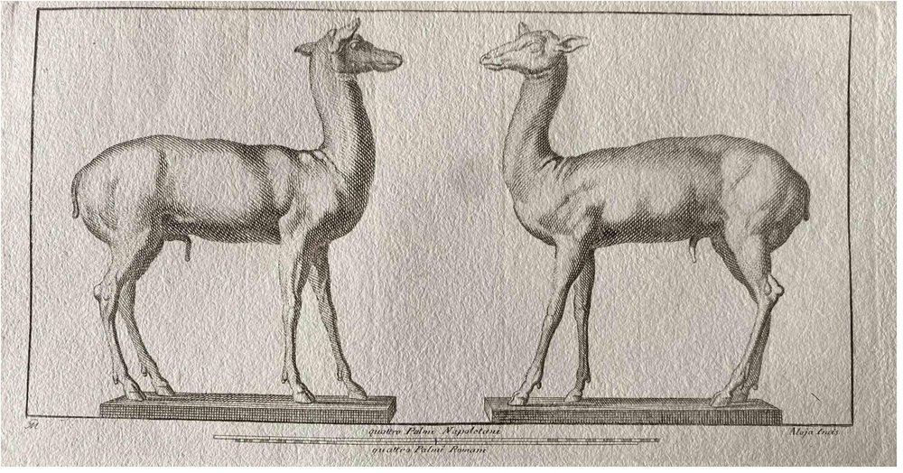 Vincenzo Aloja, Animal Figures of Ancient Rome, Etching, 18th Century ...