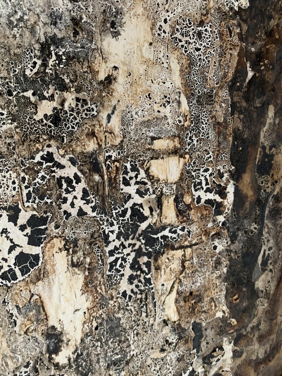 Laura Marello, L'arte è sperimentare, Acrylic on Canvas & Mixed Media ...