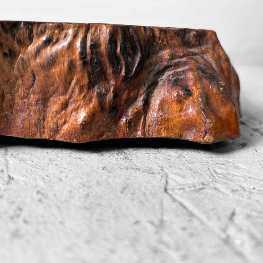 Yakusugi Wood Display, Japan, 1950s for sale at Pamono