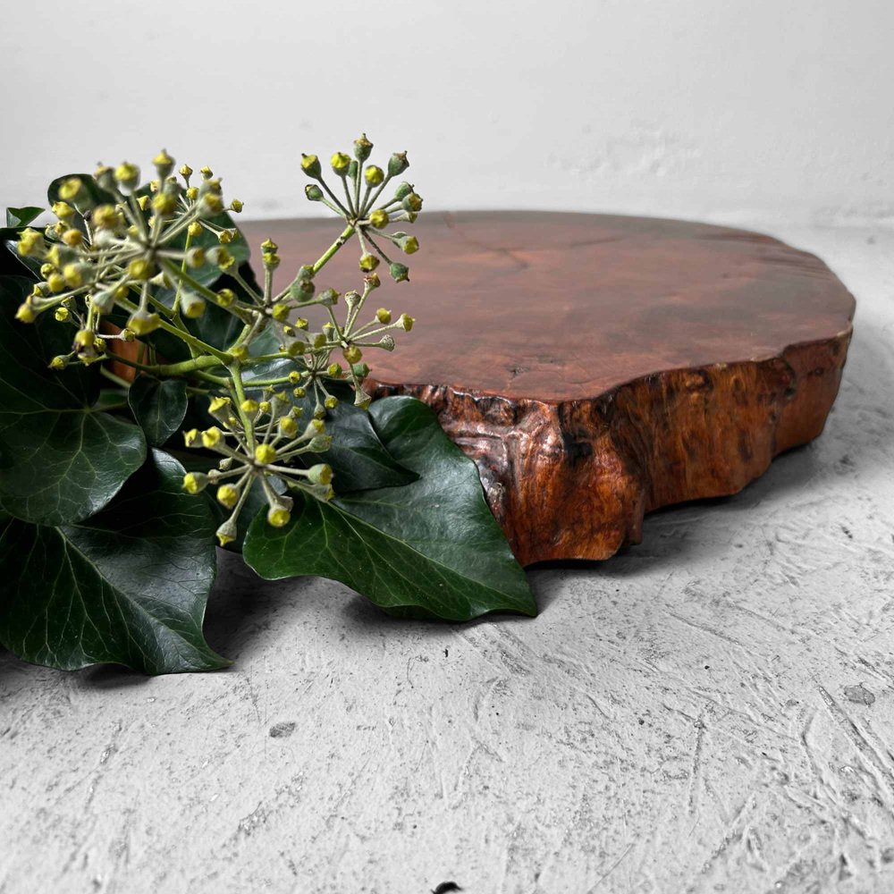 Yakusugi Wood Display, Japan, 1950s for sale at Pamono