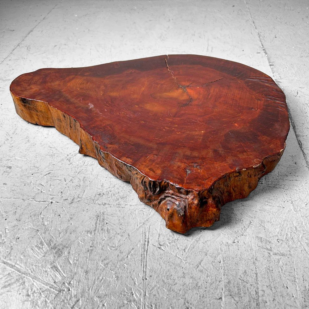 Yakusugi Wood Display, Japan, 1950s for sale at Pamono