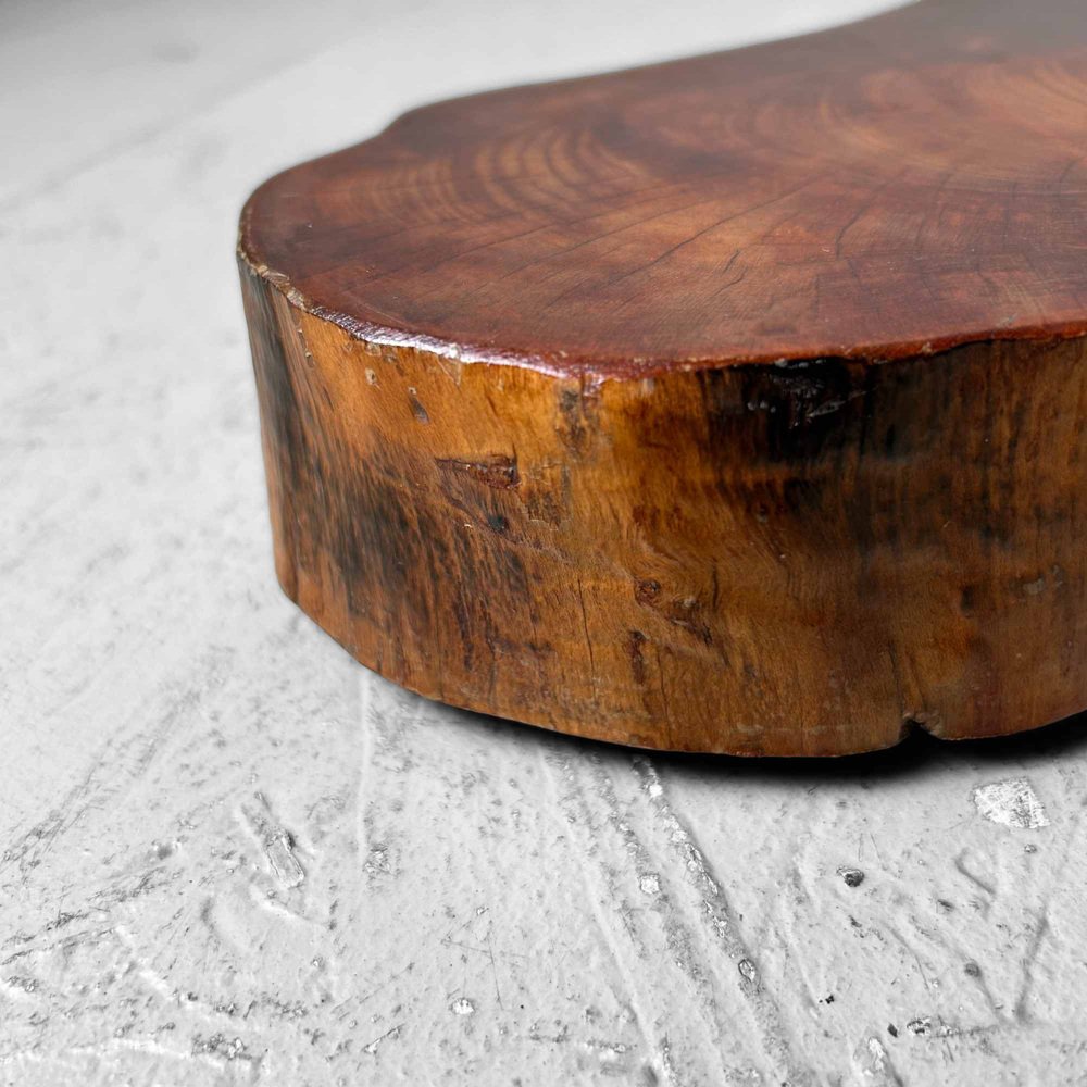 Yakusugi Wood Display, Japan, 1950s for sale at Pamono