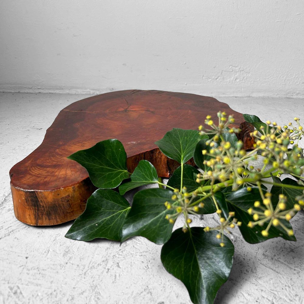 Yakusugi Wood Display, Japan, 1950s for sale at Pamono