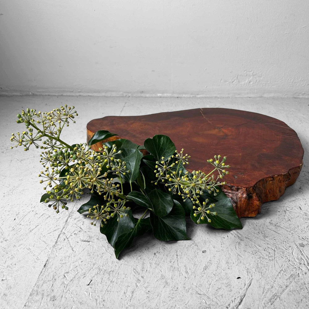 Yakusugi Wood Display, Japan, 1950s for sale at Pamono