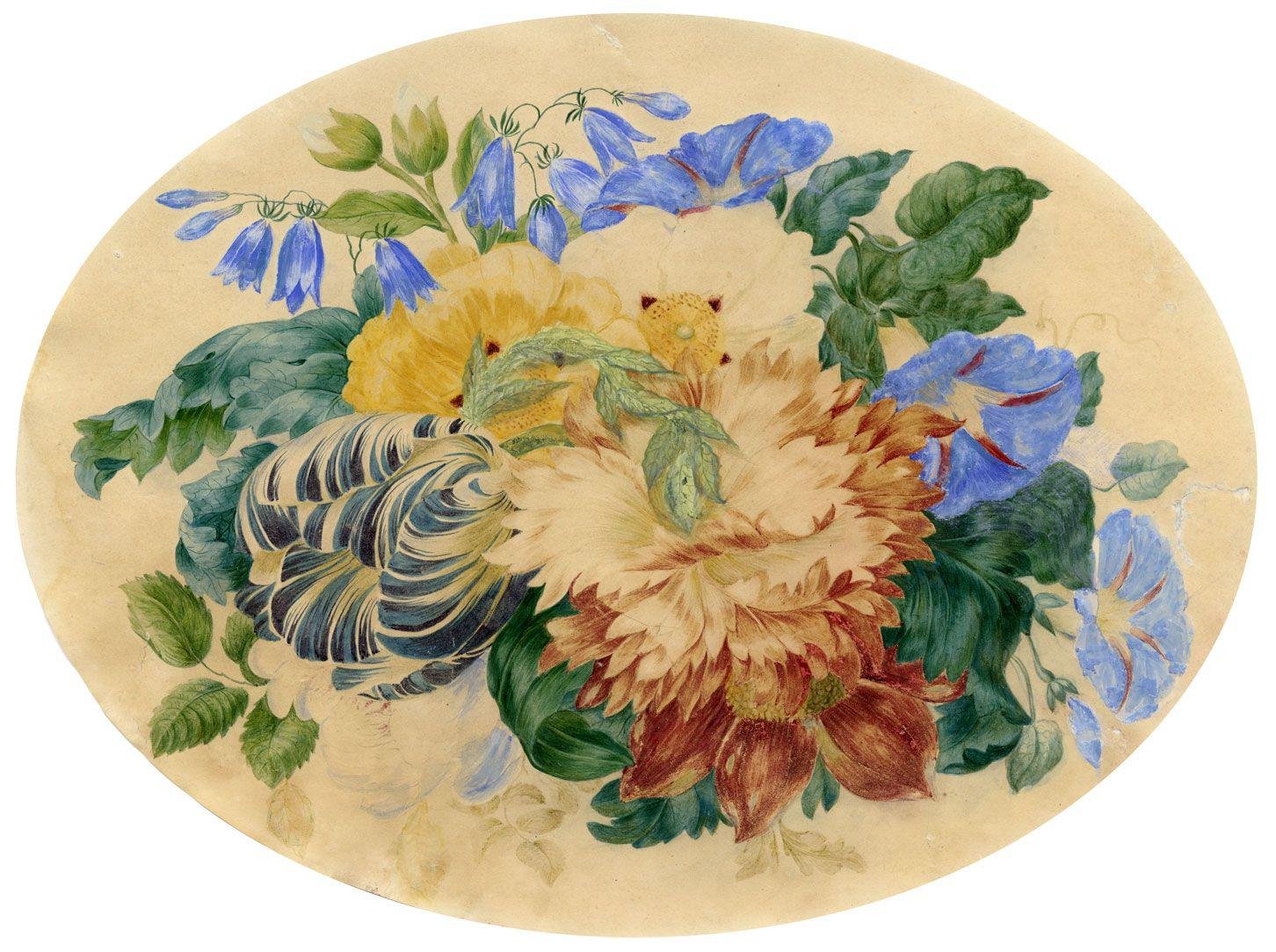 After William 'Quaker' Pegg, Tulip & Morning Glory, Mid-19th Century ...