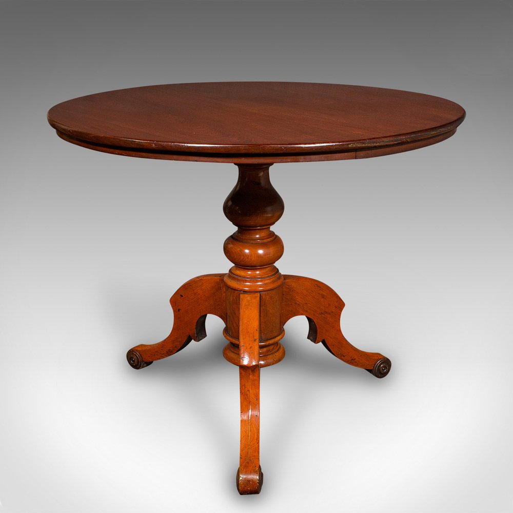 English Victorian Dining or Display Table in Walnut for sale at Pamono