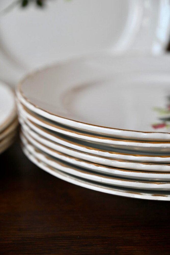 Bohemian Plates from Moulin Des Loups Orchies, 1950s, Set of 12 for ...