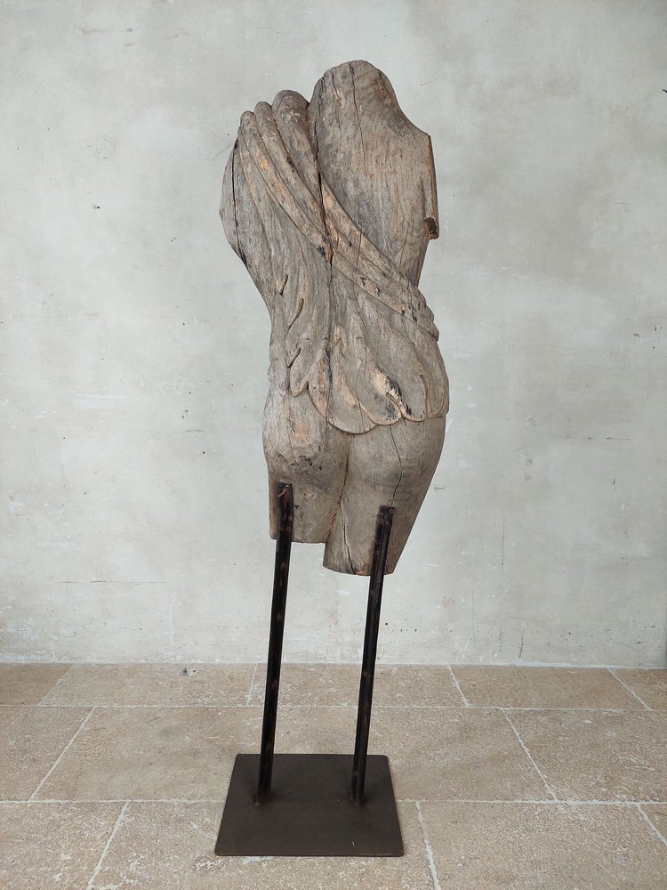 Wood Carving of a Male Torso, 1800s for sale at Pamono