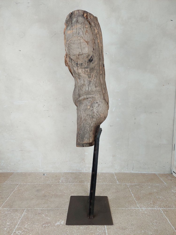 Wood Carving of a Male Torso, 1800s for sale at Pamono