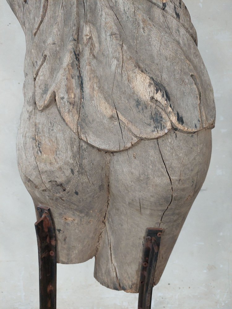 Wood Carving of a Male Torso, 1800s for sale at Pamono