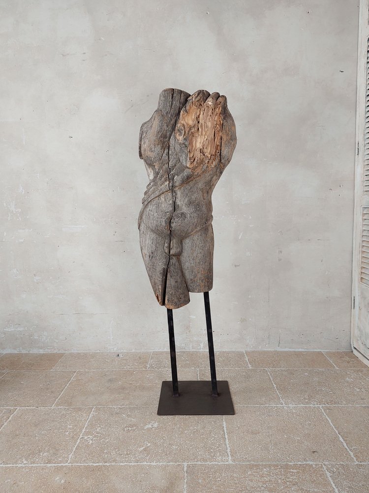 Wood Carving of a Male Torso, 1800s for sale at Pamono